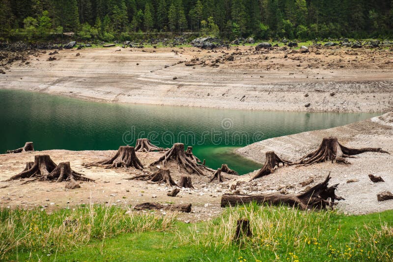 Consequences of Deforestation Around River in Autumn Color Stock Image ...