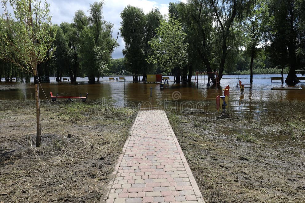 The Consequences of Flooding in the Park, River Overflow after Heavy ...