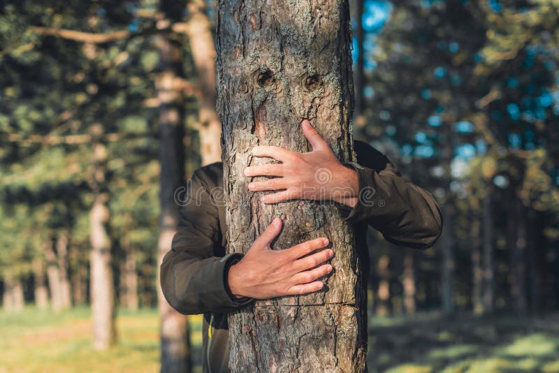 Conservation Scientist Hugging Tree Black Pine Tree in Forest, Love and ...