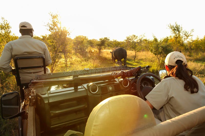 Safari Tracking Vehicle in a South African Game Reserve Editorial Photo ...
