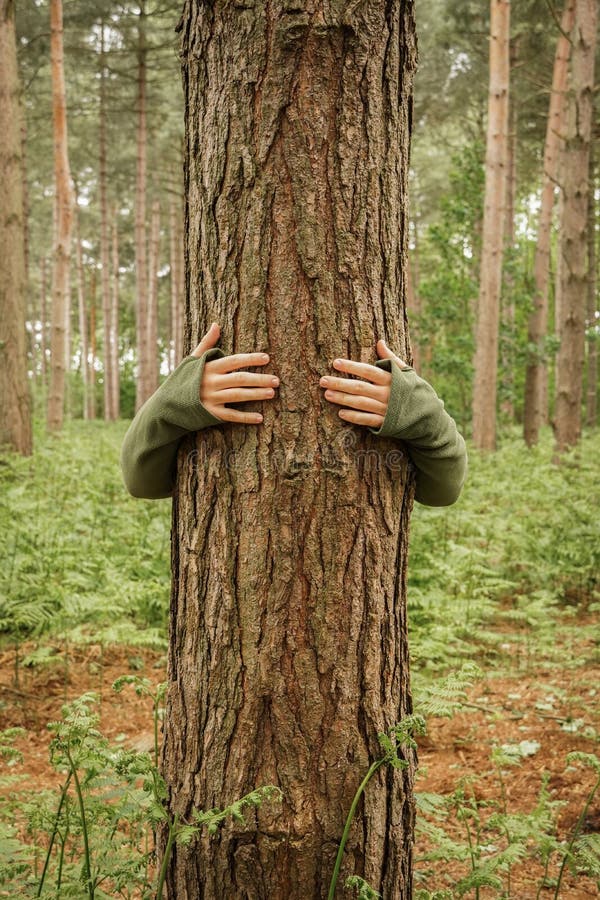 A Tree Hugger Wrapping His Arms Around a Tree Trunk in a Conservation ...