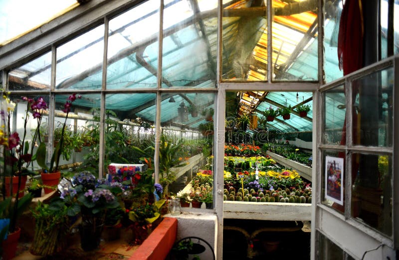Plants and Bushes Inside the Howard Peters Rawlings Conservatory Stock ...