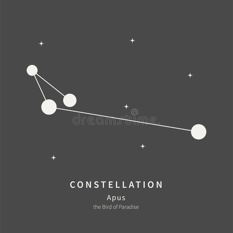 The Constellation of Apus. the Bird of Paradise - Linear Icon. Vector ...