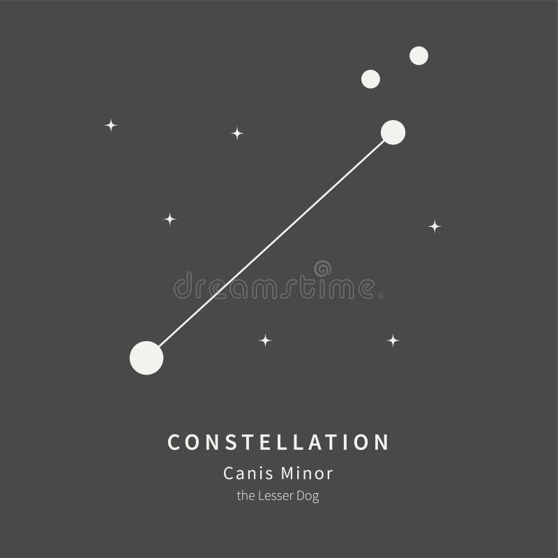 The Constellation of Canis Minor. the Lesser Dog - Linear Icon. Vector ...