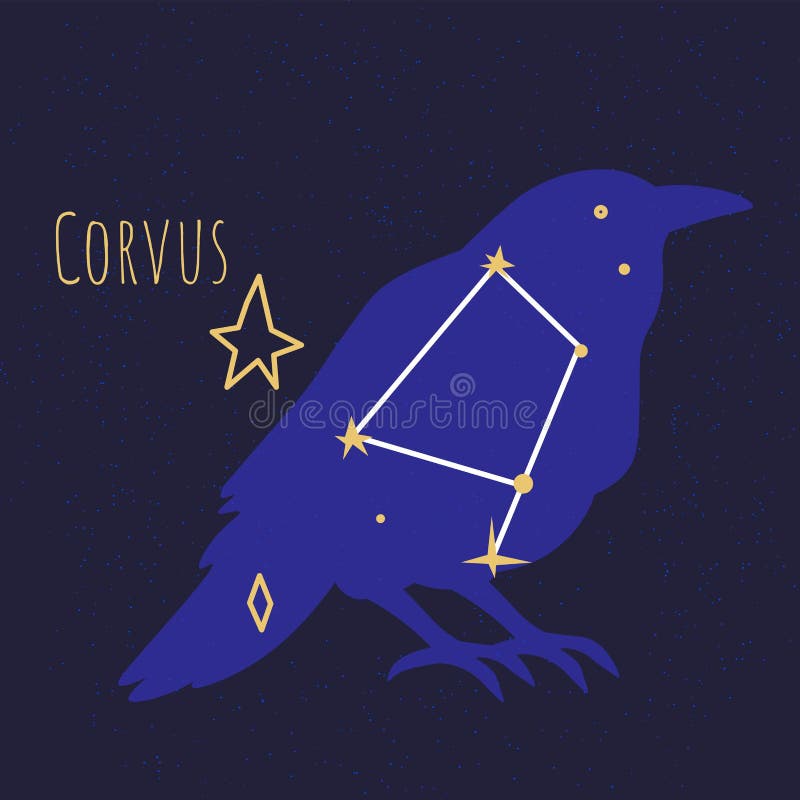 Corvus Constellation Crow