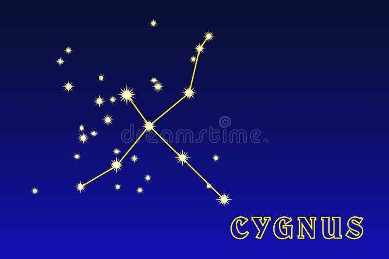 Constellation Cygnus, Vector Illustration Stock Vector - Illustration ...