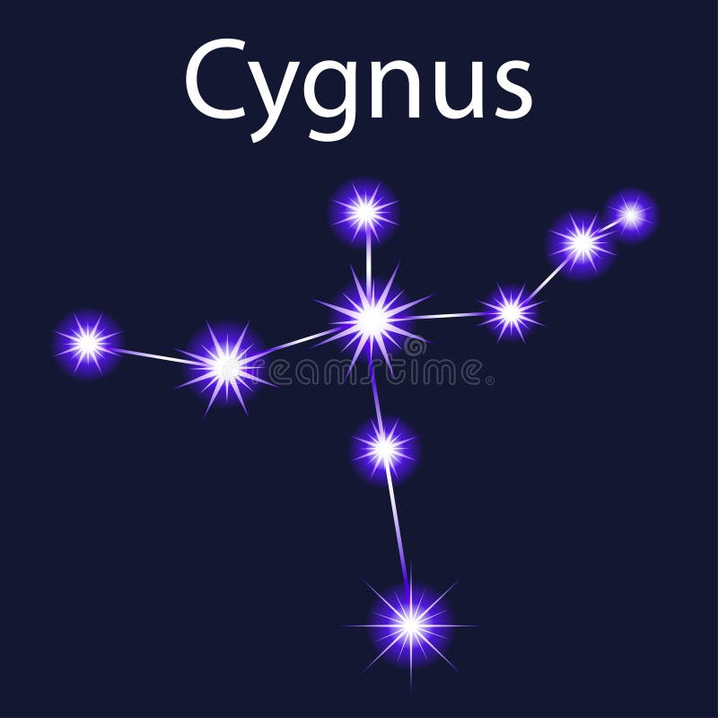 Constellation Cygnus stock vector. Illustration of drawing - 18611125