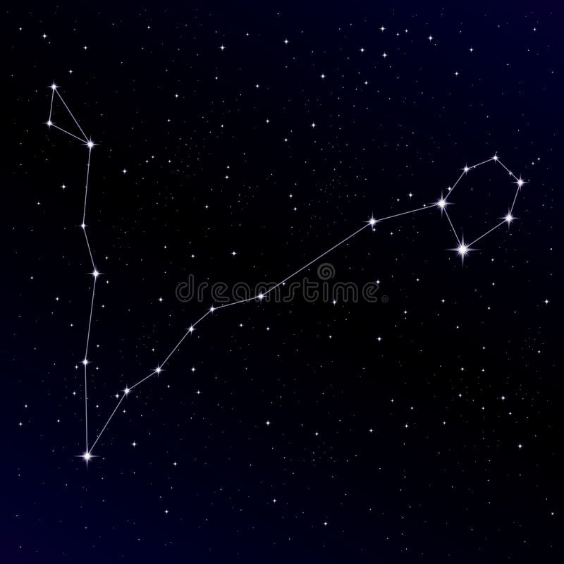 Constellation de Poissons illustration de vecteur. Illustration of ...