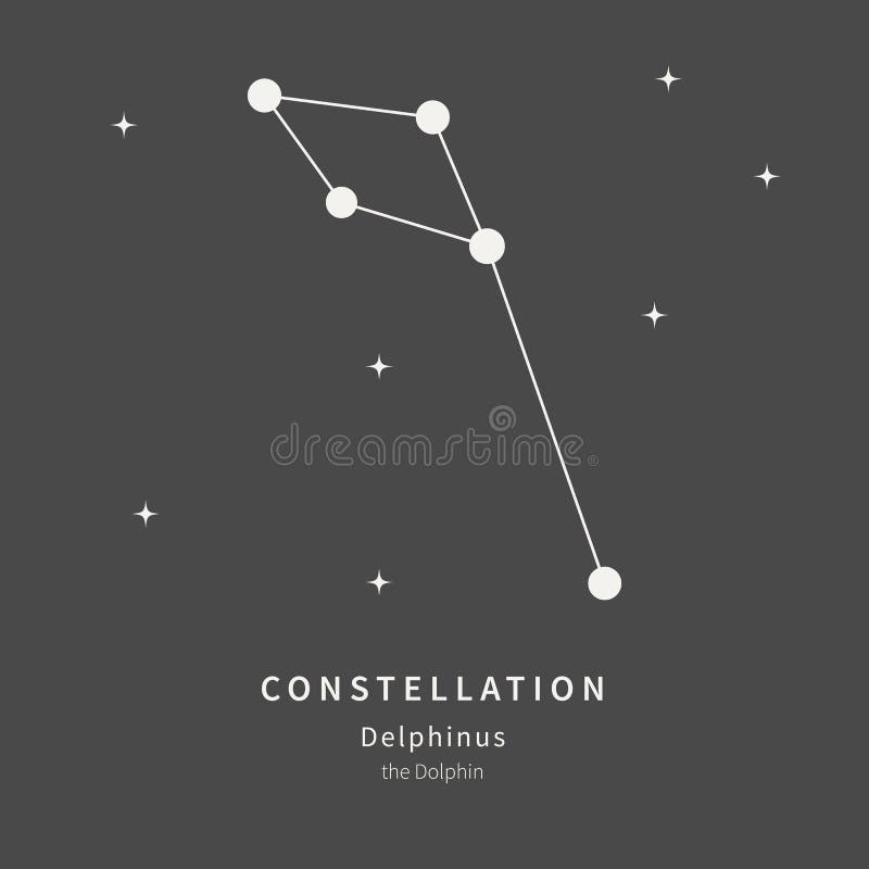 The Constellation of Delphinus. the Dolphin - Linear Icon. Vector ...