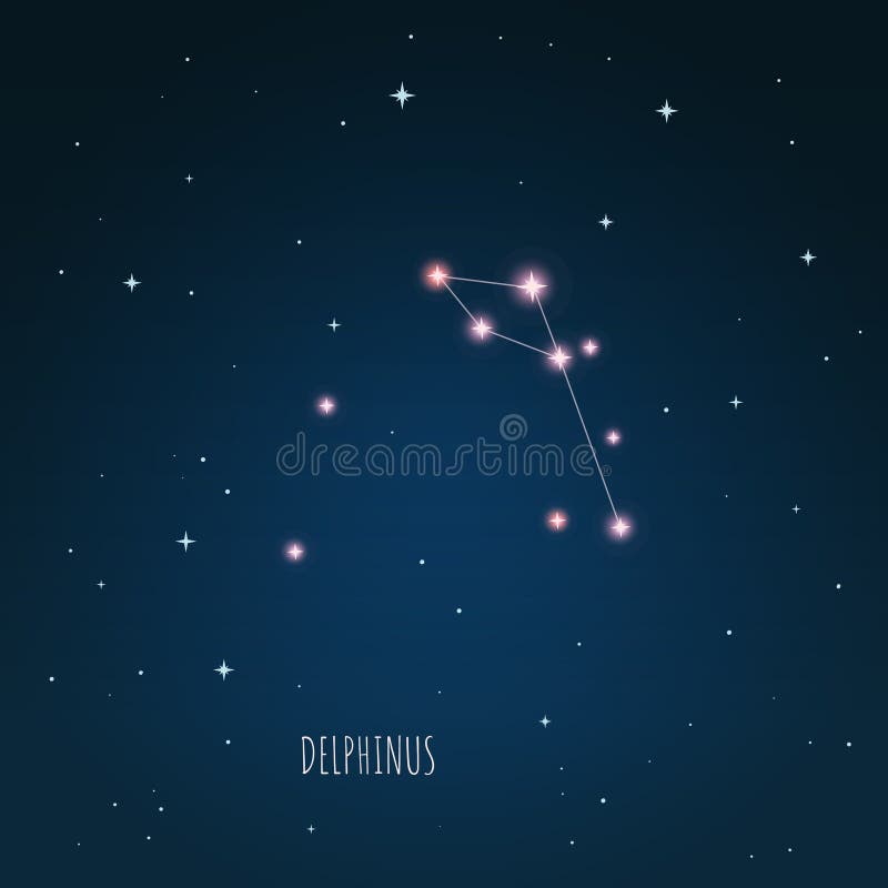 Delphinus Constellation Stock Illustrations – 34 Delphinus ...