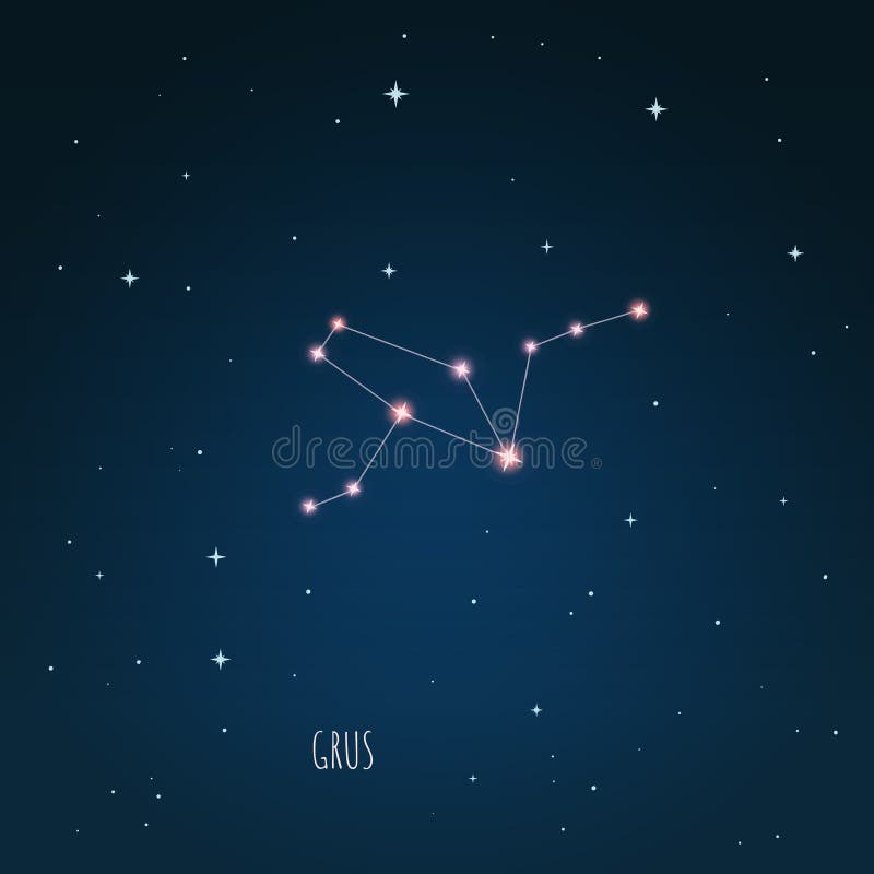The Constellation of Grus. the Crane Bird - Linear Icon Stock Vector ...