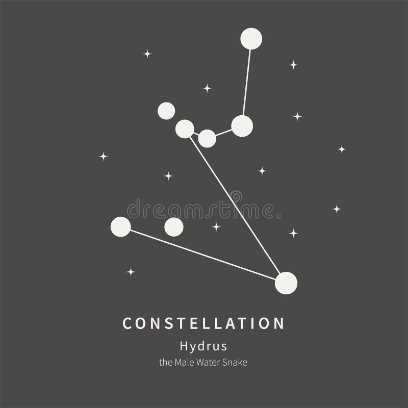 The Constellation of Hydrus. the Male Water Snake - Linear Icon. Vector ...