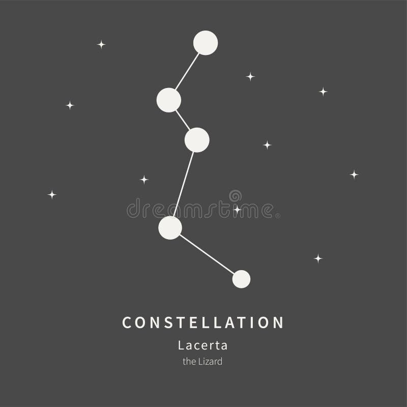 The Constellation of Lacerta. the Lizard - Linear Icon. Vector ...