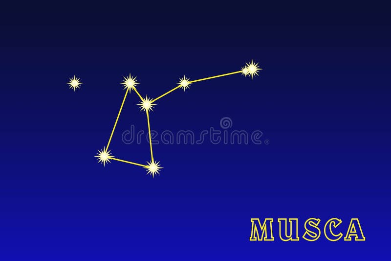 Constellation Musca stock vector. Illustration of diagram - 303527863