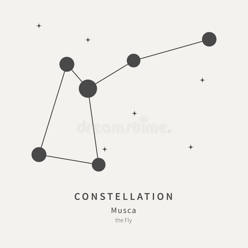 The Constellation Musca Star in the Night Sky. Stock Vector ...
