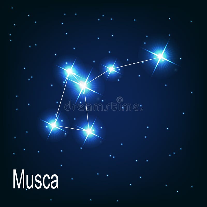 The Constellation Musca Star in the Night Sky. Stock Vector ...