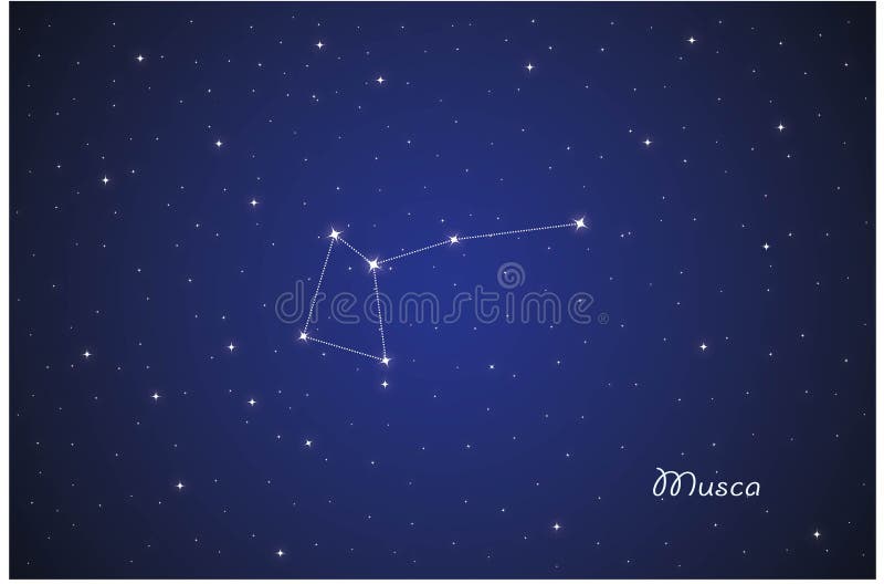 The Constellation Musca Star in the Night Sky. Stock Vector ...