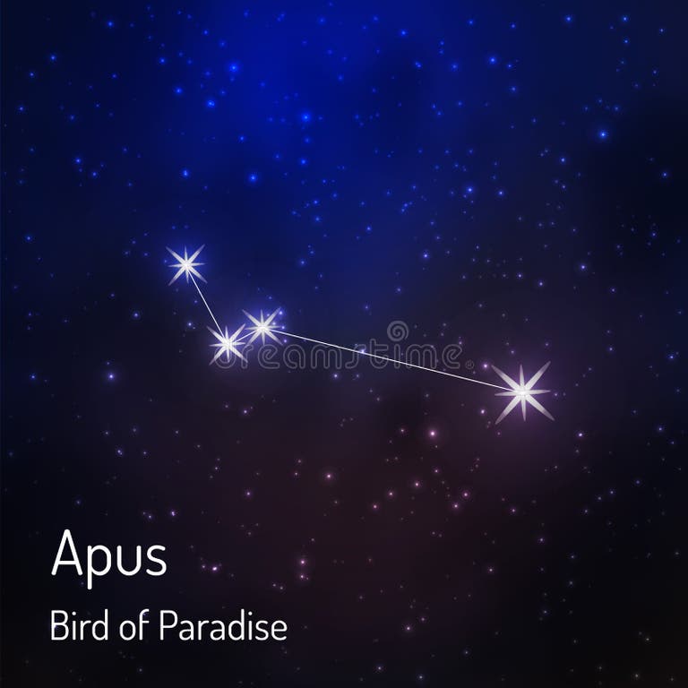 Constellation in the Night Starry Sky Stock Vector - Illustration of ...