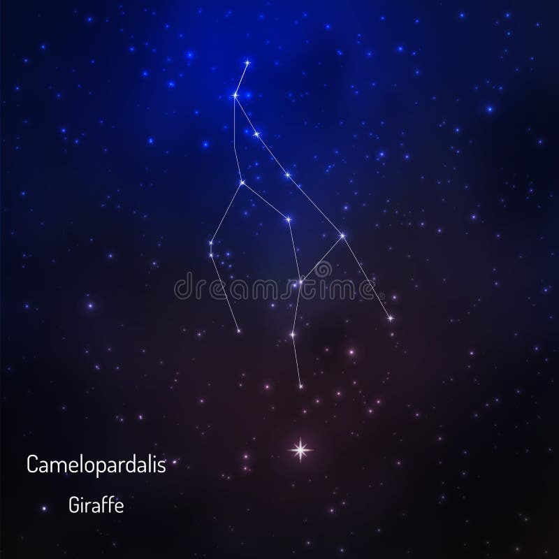 Camelopardus Constellation Stock Illustrations – 2 Camelopardus ...