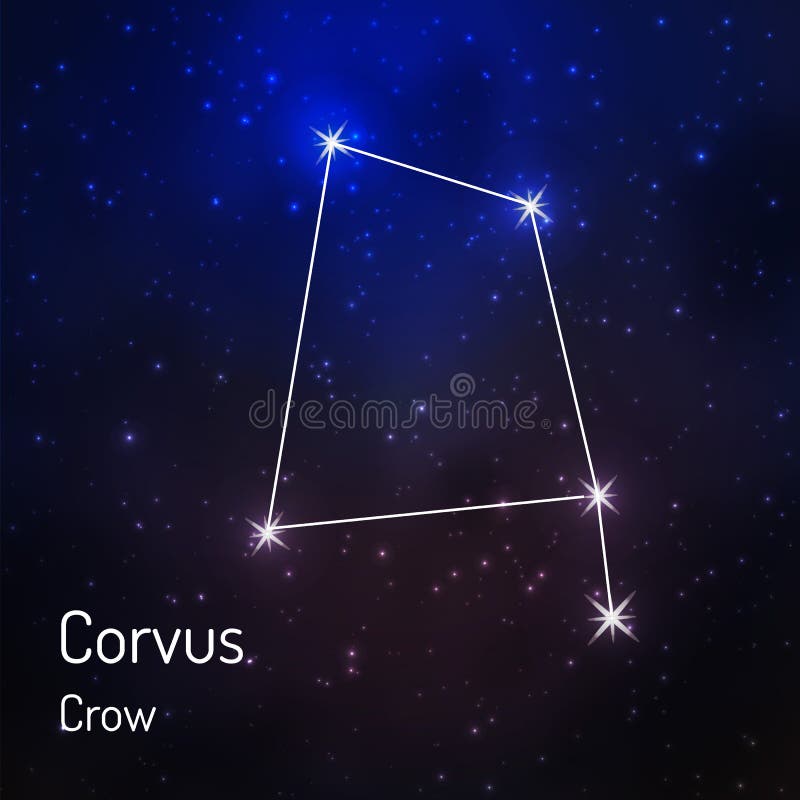 Corvus Constellation Crow