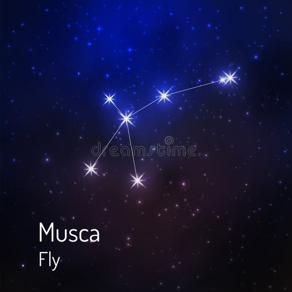 Constellation in the Night Starry Sky. Vector Illustration Stock Vector ...