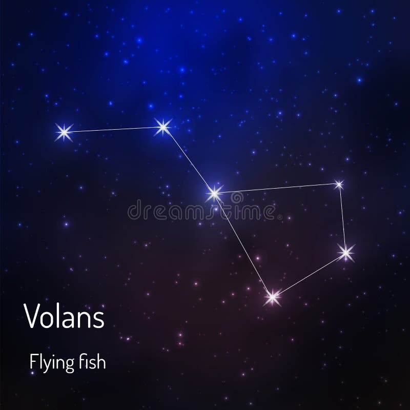 Volans the Flying Fish Constellation Map on a Starry Space Background ...