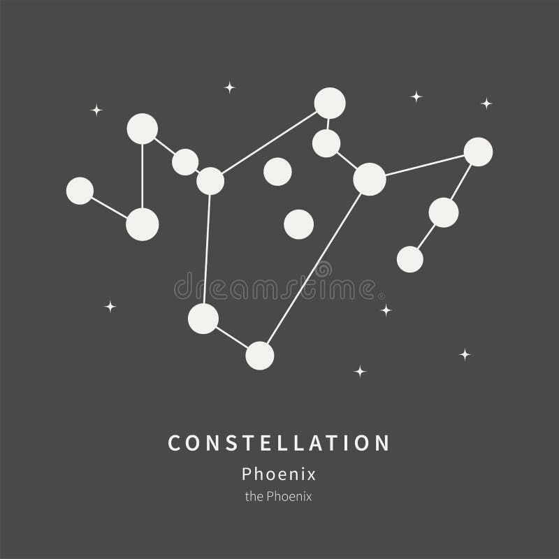 The Constellation of Phoenix. the Phoenix - Linear Icon. Vector ...