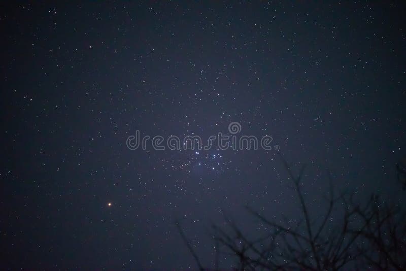 The Constellation Pleiades on the Night Sky in Conjunction with Planet ...