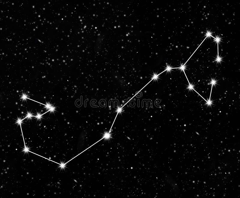 Constellation Scorpius Illustration Stock Illustration - Illustration ...
