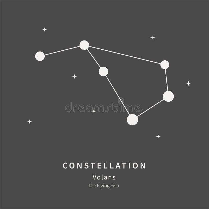 The Constellation of Volans. the Flying Fish - Linear Icon. Vector ...