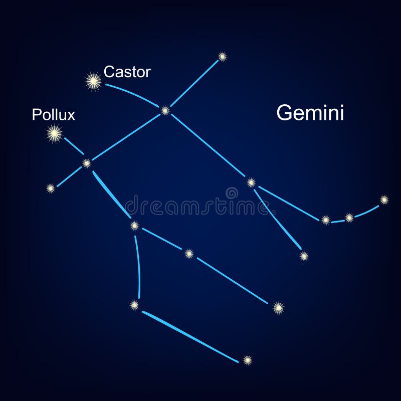 Castor vector frame stock vector. Illustration of design - 146996041