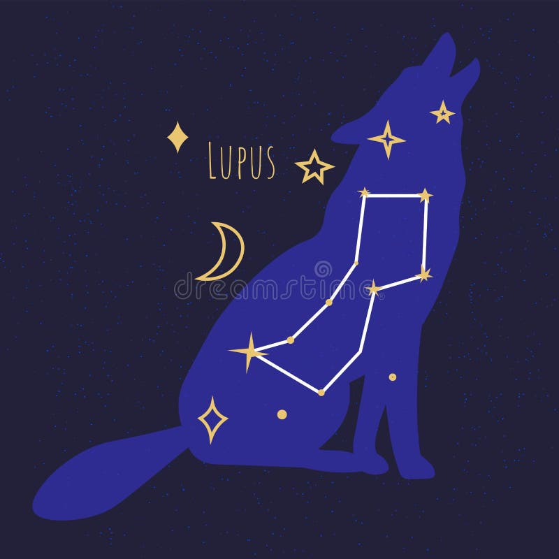 Constellations of Lupus, Star Formation of Wolf Stock Illustration ...