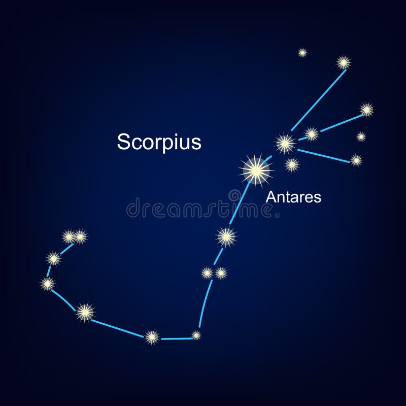 Constellations of the Scorpion Star Horoscope. Vector Stock Vector ...
