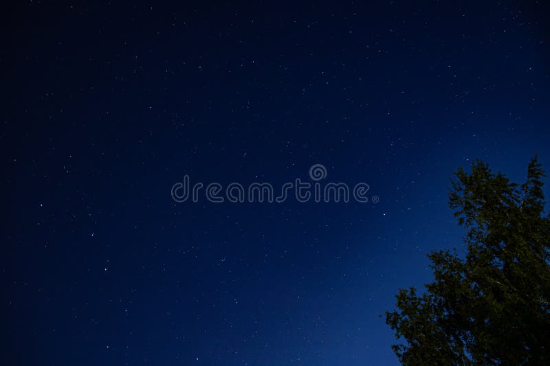 Constellations Ursa Minor, Ursa Major and Dragon Stock Image - Image of ...