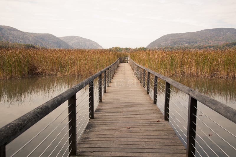 Constitution Marsh stock photo. Image of wetlands, valley - 46568316
