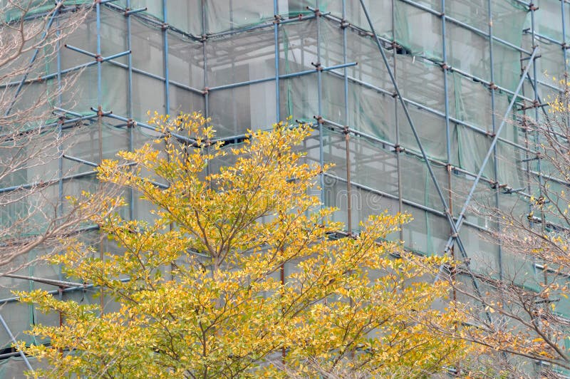 Constructing Building And Plant Stock Image - Image of plant, structure ...