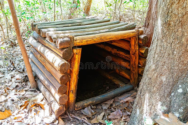 Constructing a Hidden Survival Dugout in the Heart of the Forest for ...