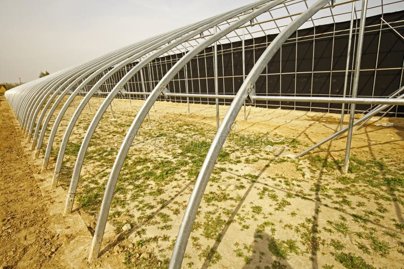 Is Constructing the Modern Shed Vegetables Stock Image - Image of ...