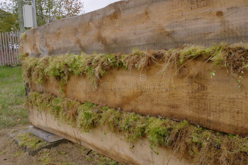 Construction of a Bathhouse Made of Timber with Ecological Insulation ...