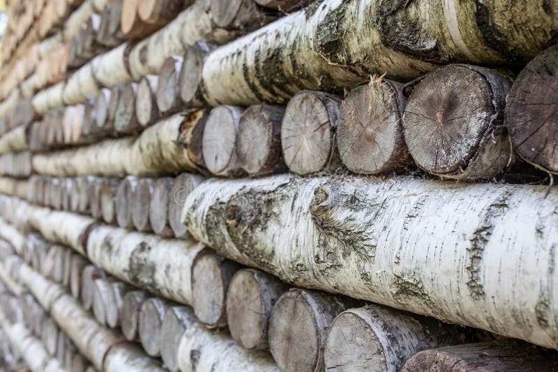 Birch logs stock image. Image of nature, trunk, traditional - 178239061