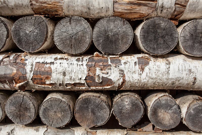 Birch logs stock photo. Image of logs, siberia, structure - 178239262