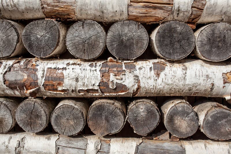 Birch logs stock photo. Image of tree, natural, building - 178239292