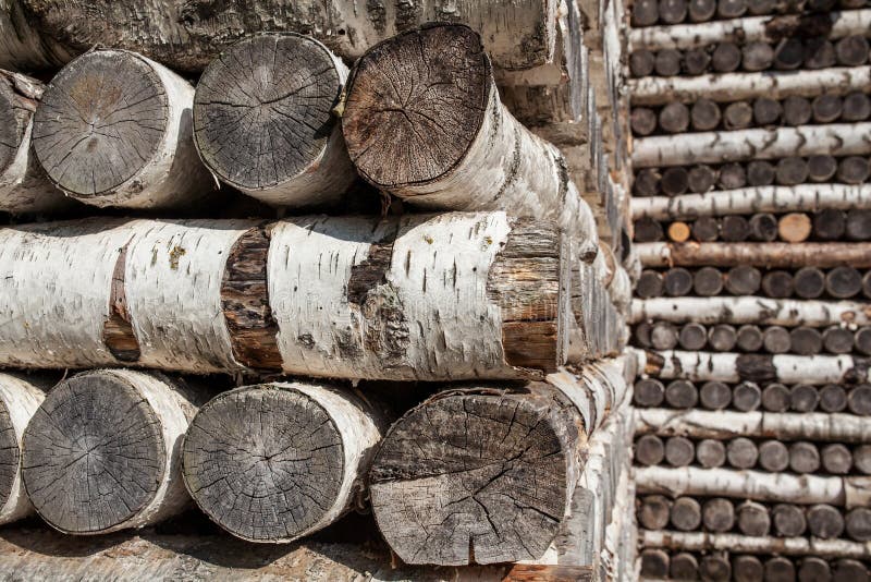 Birch logs stock image. Image of plant, wall, tree, frame - 178239379