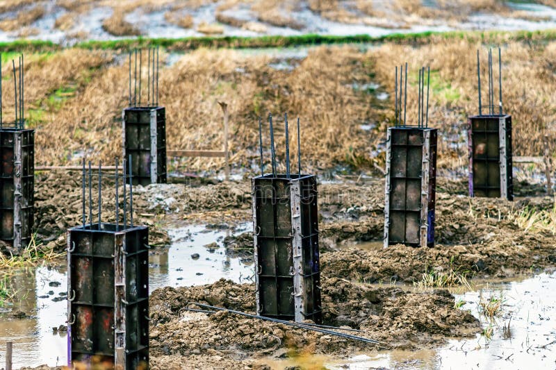 Construction of Concrete Pillars in Paddy Field. Formwork with ...
