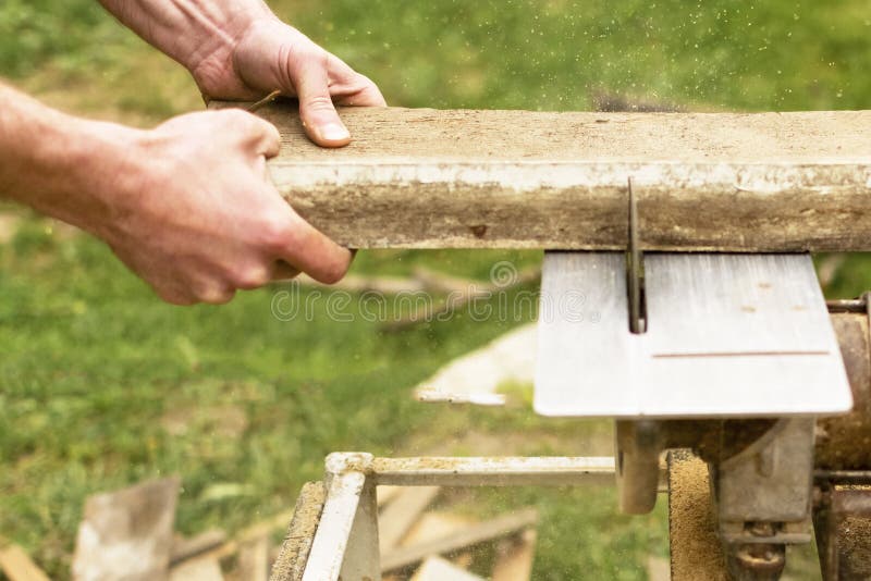 180 Carpenter Worm Photos - Free & Royalty-Free Stock Photos from ...