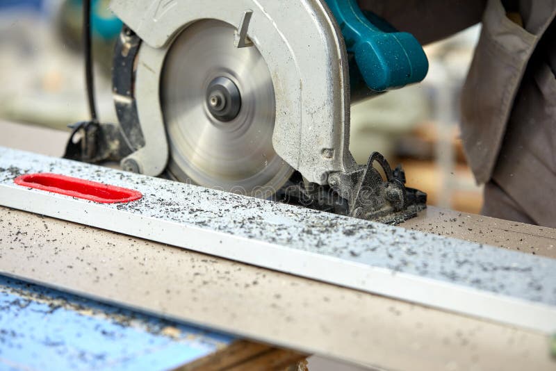 197 Carpenter Worm Stock Photos - Free & Royalty-Free Stock Photos from ...