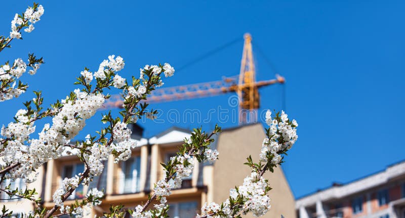 Construction Crane with a Spring Flowering Trees Stock Photo - Image of ...