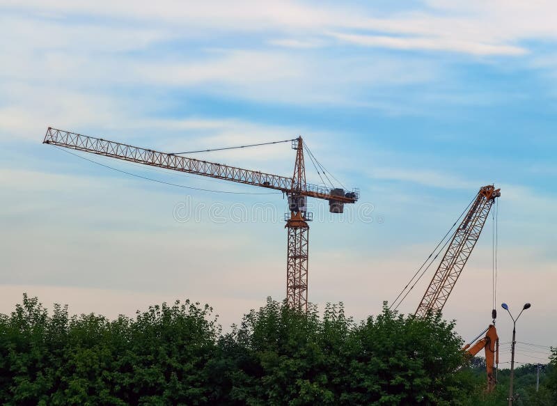 Boy Emerge from Behind Poster Stock Photo - Image of glance, face: 31294936
