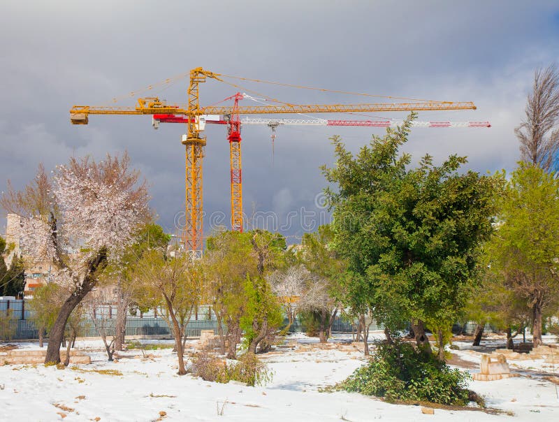 Construction Cranes in Early Spring Stock Photo - Image of machine ...