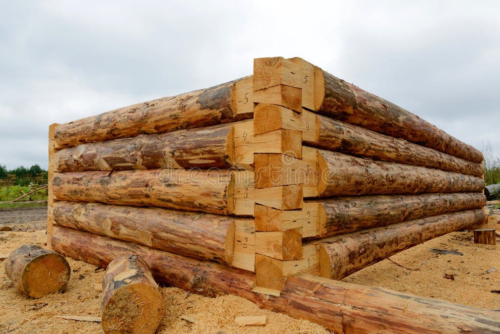 Construction D'une Cabane En Rondins En Bois Image stock - Image du ...